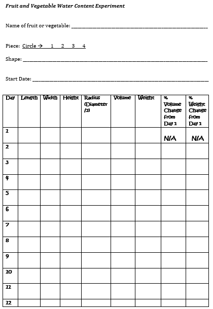 Fun math activities to do with your children