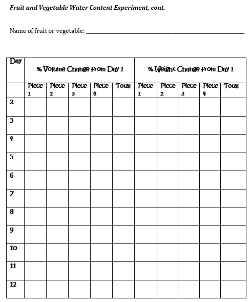 Fun math activities to do with your children