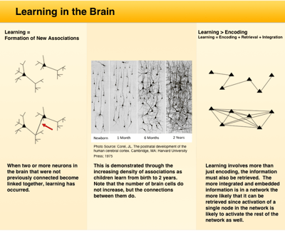 Using Neuroscience to Improve Math Learning